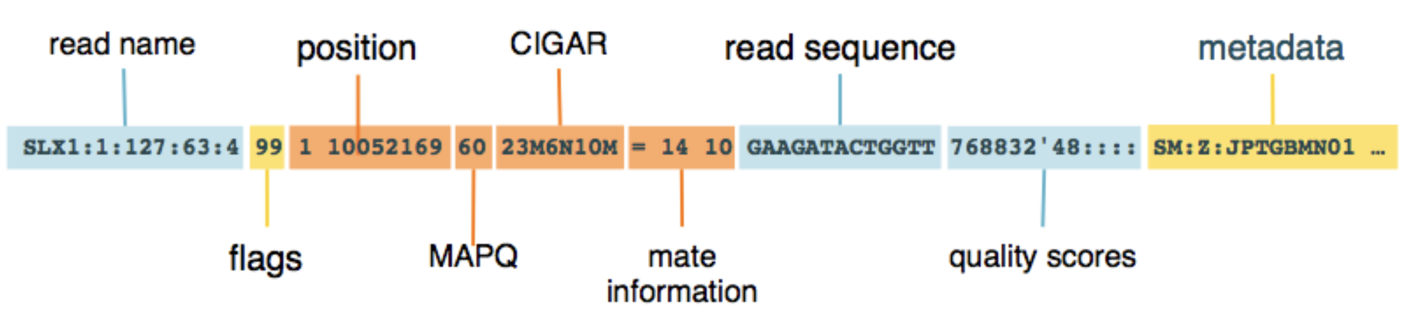 Analisi di dati di trascrittomica con R – m5_software_code