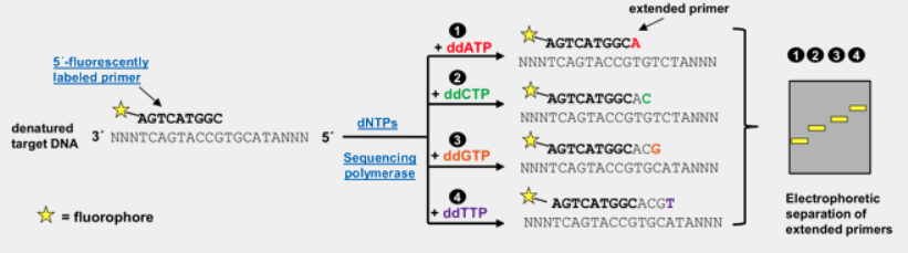 Analisi di dati di trascrittomica con R – m3_rnaseq_intro